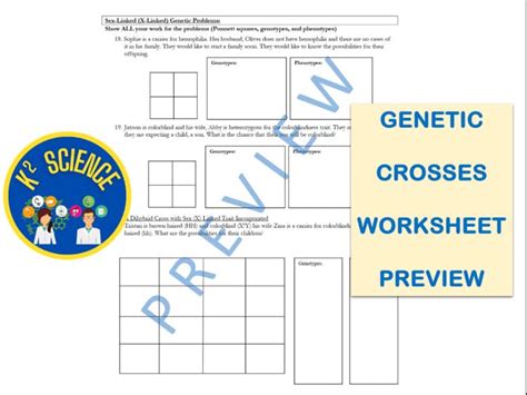 Genetic Crosses Worksheet Packet Punnett Squares Dihybrids And Sex