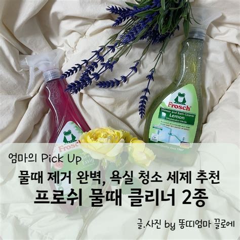프로쉬 욕실청소세제 물때 클리너 화장실 물때 완벽 제거 네이버 블로그