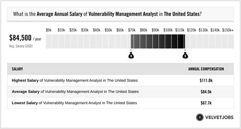 Vulnerability Management Analyst Salary Actual 2025 Projected 2026 Velvetjobs