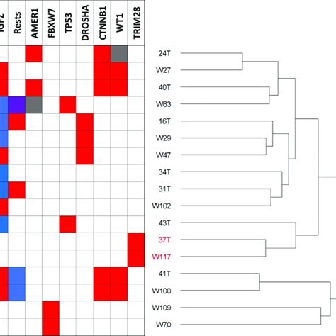 Dendrogram From Unsupervised Hierarchical Clustering Of Gene Expression