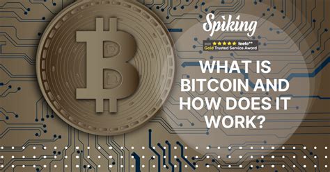 What Is Bitcoin And How Does It Work Cryptocurrency Spiking