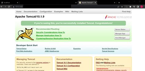 Nginx 톰캣 연동 및 Emerg Directive And Control Process 오류 해결