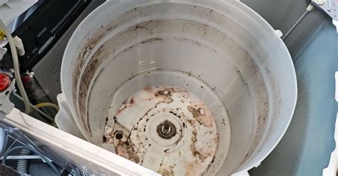 작업 전 꼼꼼한 상태 체크와 세탁기 관리 방법까지 잘 설명해 주셔서 감사드립니다 앞으로도 번창 하세요~~ 숨고 숨은고수