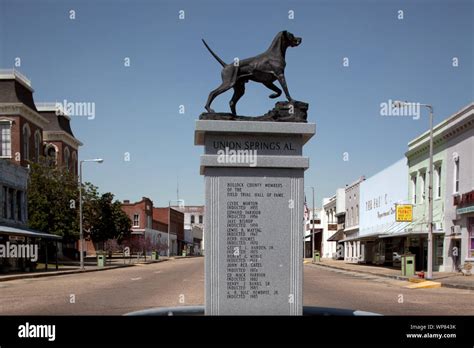 Life Size Bronze Statue Of An English Pointer Union Springs Alabama