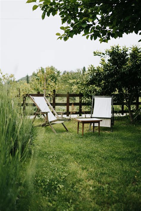 무성한 녹색 들판 위에 앉아 있는 두 개의 잔디 의자 사진 Unsplash의 무료 풀 이미지