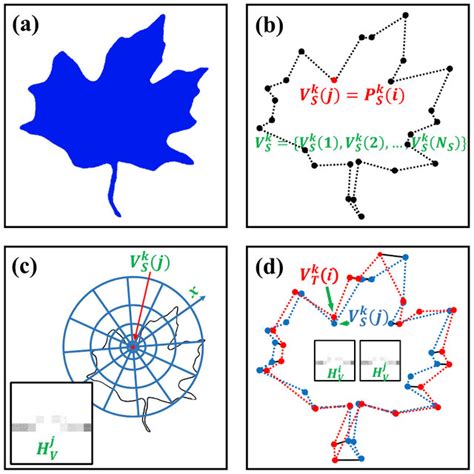 Off Line Phase Of Surface Deformable Localization A Template Image Download Scientific