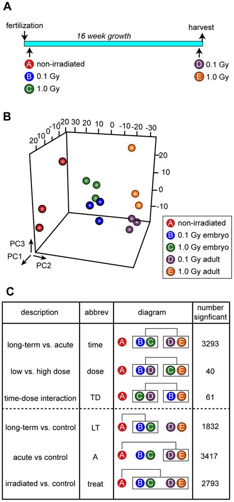 Experimental Design And Overview Of Results A Design There Are Five