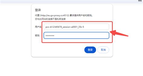 如何在谷歌浏览器上设置和使用代理？ proxycc