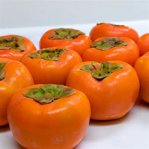 Persimmon Fuyu Buy Now From Fruit Tree Cottage