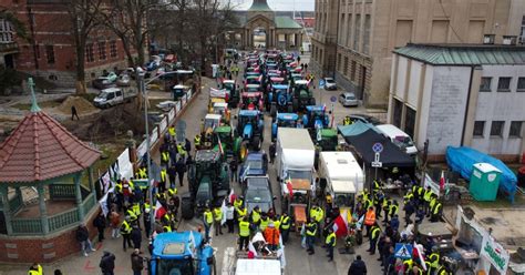 ЄС відреагував на рішення Польщі та Угорщини щодо заборони імпорту зерна з України