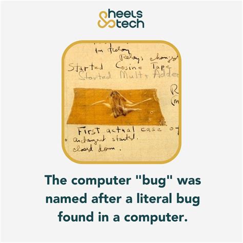 Origin Of Spam And Bug Career Nigeria