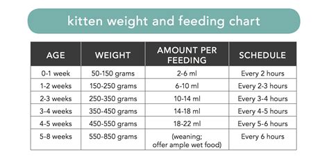 Weighing — Kitten Lady Feeding Kittens Kitten Growth Chart Kitten Care