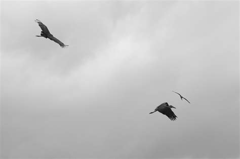 7 Analog 7 Digital With Fujifilm Simulation Tell Me In The Comments Which You Think Are Which