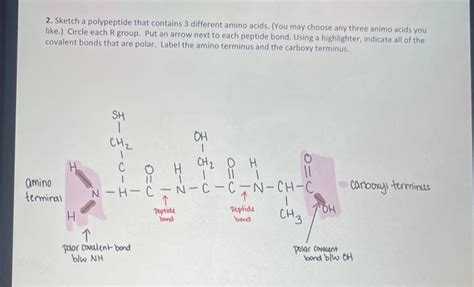 Solved What Would The R Groups Be In This Pic And How Do You Chegg Com