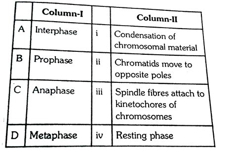 Match The Following Columns