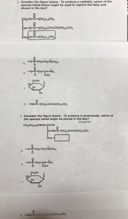 Solved 2 Consider The Figure Below To Produce A Cephalin