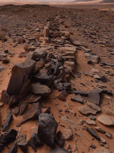 Komal Joshi Posted On Linkedin