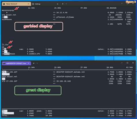 Why Terminal Display In Win10terminal Is Treated Differently Telnet