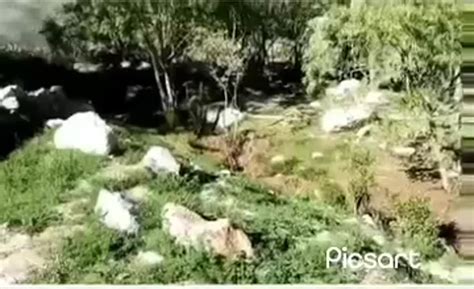 Rahul Devrani On Linkedin A Clip Says It All