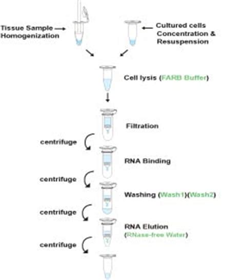 Protocol For Total RNA Isolation From Cells OFF