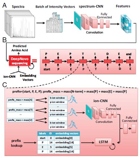 Novel Deep Learning Model Significantly Improves De Novo Peptide Sequencing Accuracy