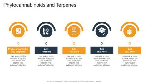 Terpenes PowerPoint Presentation And Slides PPT Sample SlideTeam