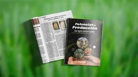 úsalosbiencuidáelmañanapag 22 Lisa Fonseca