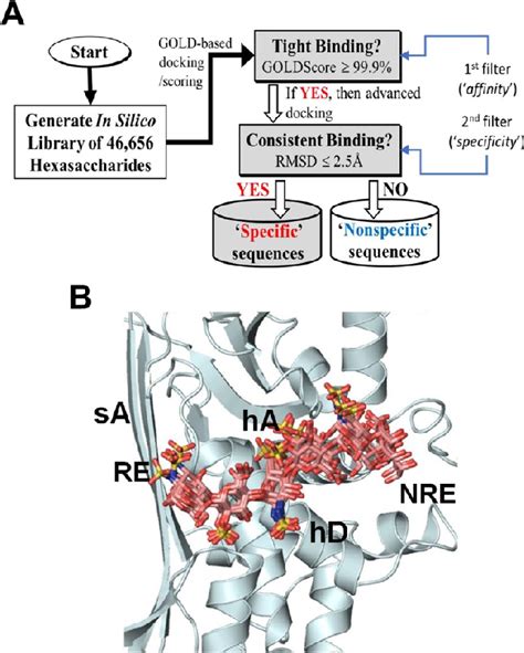 Determinants Of Selectivity Versus Non Selectivity In Gag Recognition