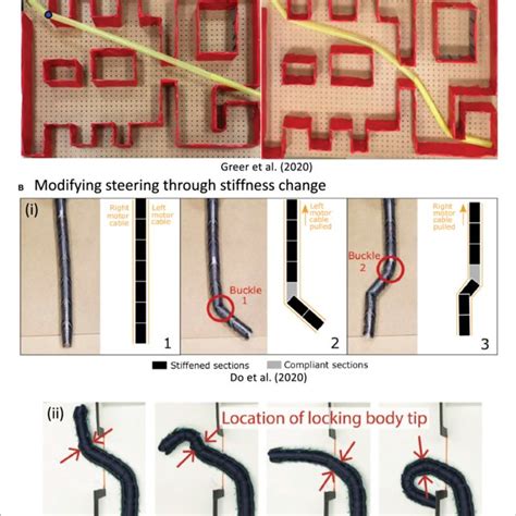 kinematic and force balance modeling of everting vine robot