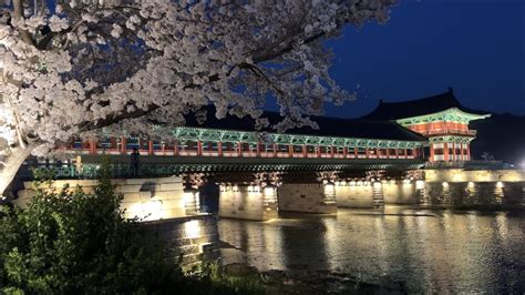 경주 벚꽃 나들이 월정교 동궁과 월지 불국사 보문단지 대릉원 주변 Youtube