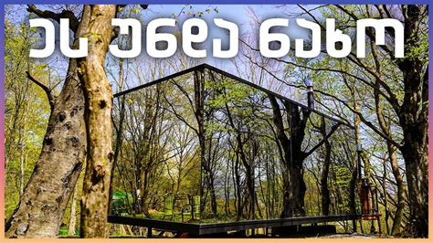 უნიკალური იდეა Youtube