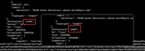 Dockerfile 构建 Vue 镜像踩坑记vue项目dockerfile Csdn博客