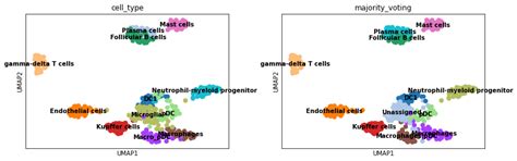 using celltypist for multi label classification — celltypist 1 7 1 documentation