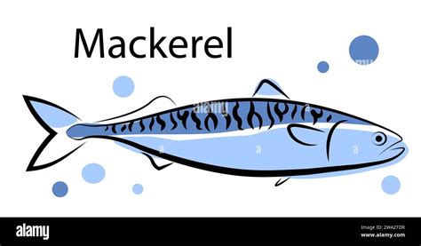 Mackerel Mackerel Stock Vector Images Alamy
