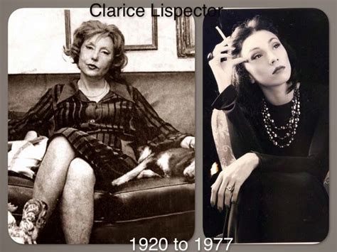The Reading Life Love By Clarice Lispector