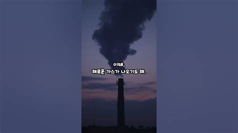 플라스틱 사용을 줄여야 하는 이유 알잘딱알쌤 플라스틱줄이기 플라스틱재활용 해양쓰레기 Youtube