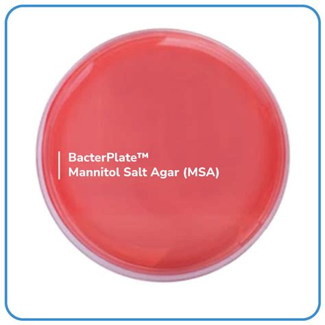 Bacterplate™ Mannitol Salt Agar Msa Labone Scientific Coltd