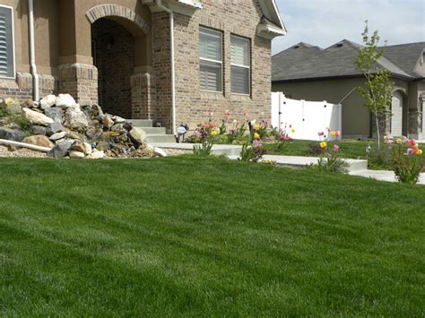 Thick And Green Getting Rid Of Undesirable Grasses In Your Lawn