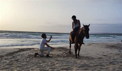 Daniela Arellano Carrero And Renato Solé Morellós Wedding Website