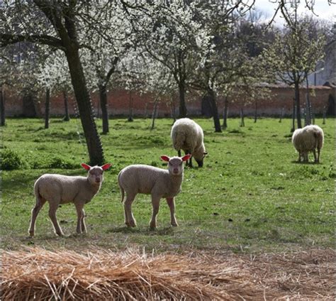 Farming The Fragmented Land