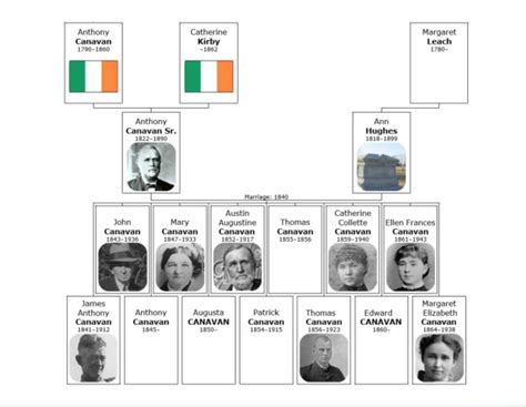 Anthony Canavan And Ann Hughes Trees William J Bowe