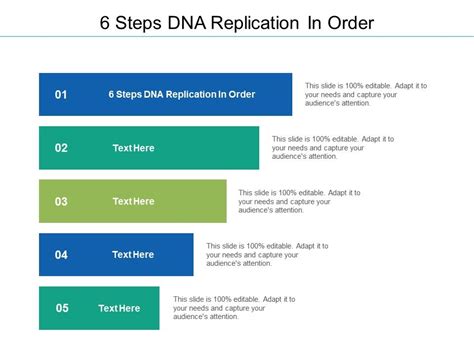 6 Steps Dna Replication In Order Ppt Powerpoint Presentation Summary