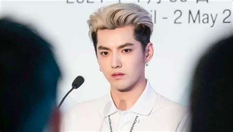 吳亦凡因強姦罪被捕 中演協：飛得再高膨脹再大 任性妄為終會脫軌 兩岸 中時