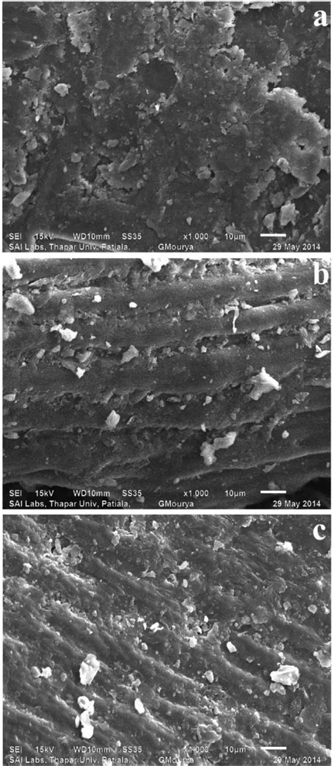 Scanning Electron Micrograph Of Leaf Litter Biomass Samples From A