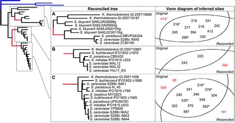 Different Gene Trees Can Lead To Different Beb Results On Real Download Scientific Diagram