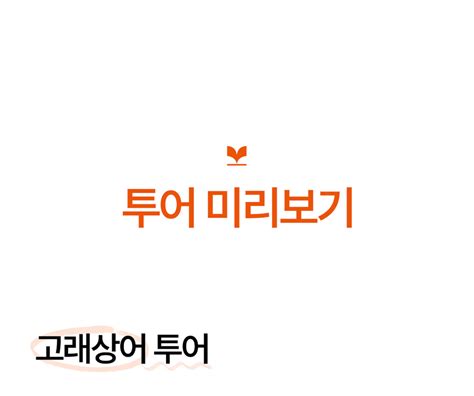 세부 자유여행 필리핀 현지 여행사 로컬페이지의 캐녀닝 알레그리아 코스와 오슬롭 고래상어 워칭 투어