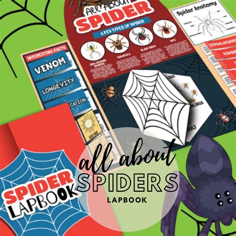 Life Cycle Of A Spider Lapbook Printable Skrafty