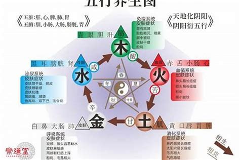 五行土旺缺木水怎么办五行缺木和水怎么化解 起名 若朴堂文化