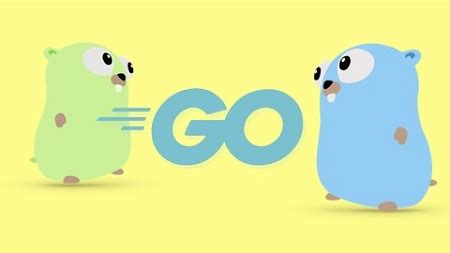 Go Bootcamp Master Golang With 1000 Exercises And Projects CoderProg