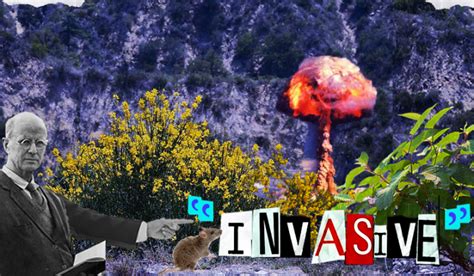 Are Weeds Weedy In Their Native Range Are Weeds Weedy In Their Native Range